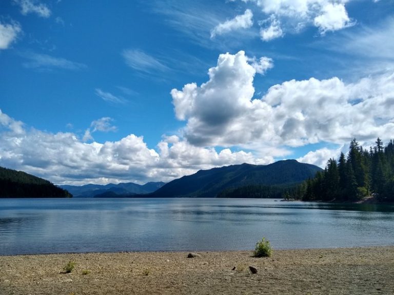 Perspective – Elise Stephens